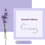 El-Vedûd - İslamyolunameftun